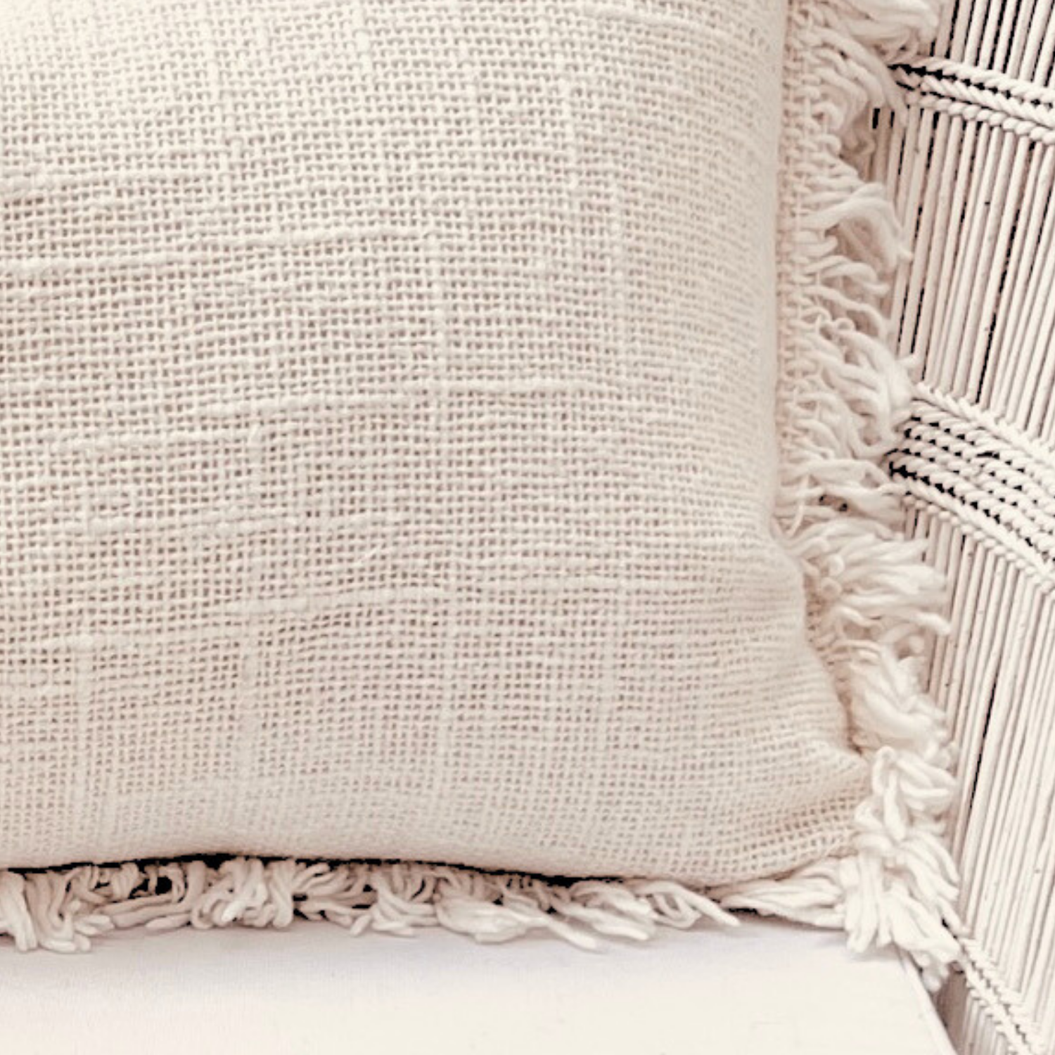 The Fringes – coastaladdiction